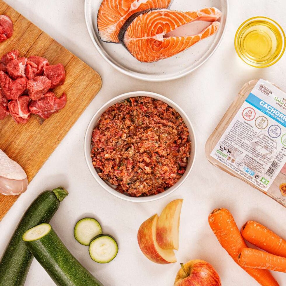 Comida BARF para perros y gatos | Naturcanin